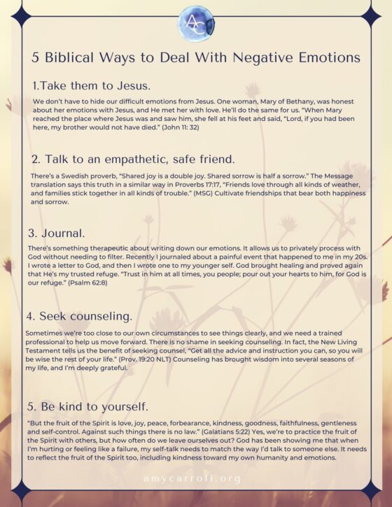 Five Biblical Ways to Handle Your Negative Emotions - Amy Carroll